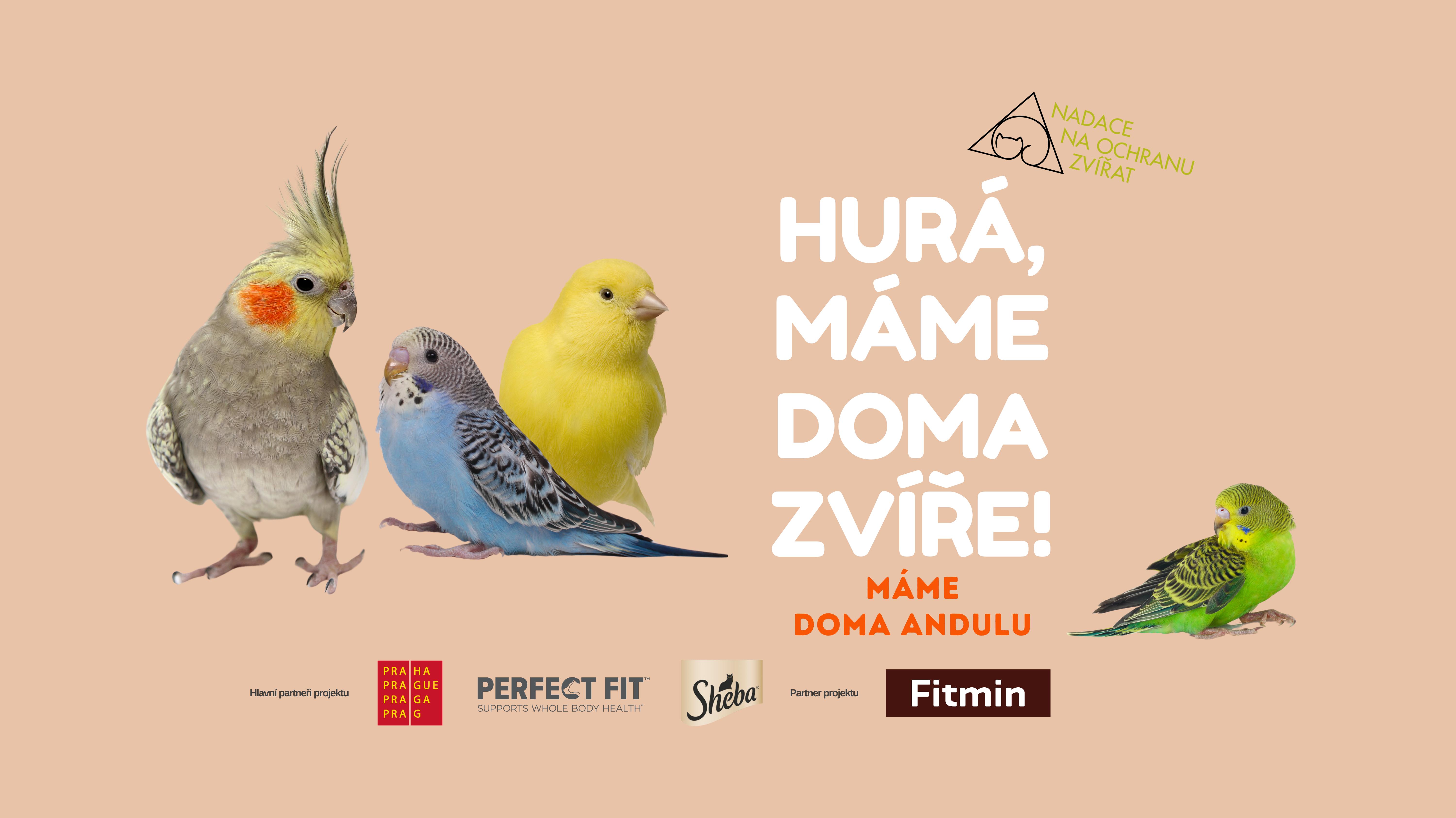 3. díl – MÁME DOMA ANDULU, HURÁ, MÁME DOMA ZVÍŘE! – osvětové podcasty ...
